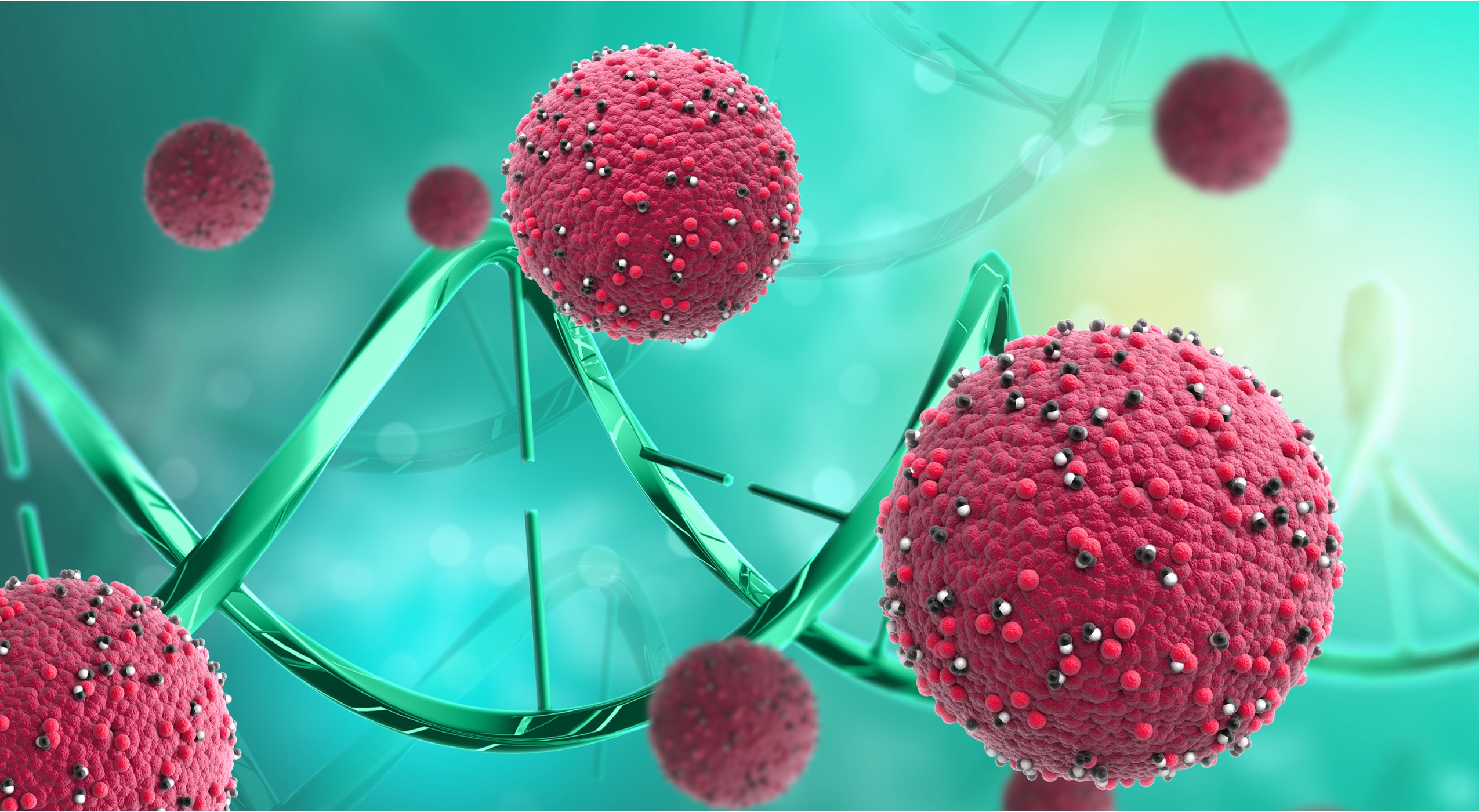 Papilloma virus: cos’è, sintomi, cura e fattori di rischio | Mario Negri